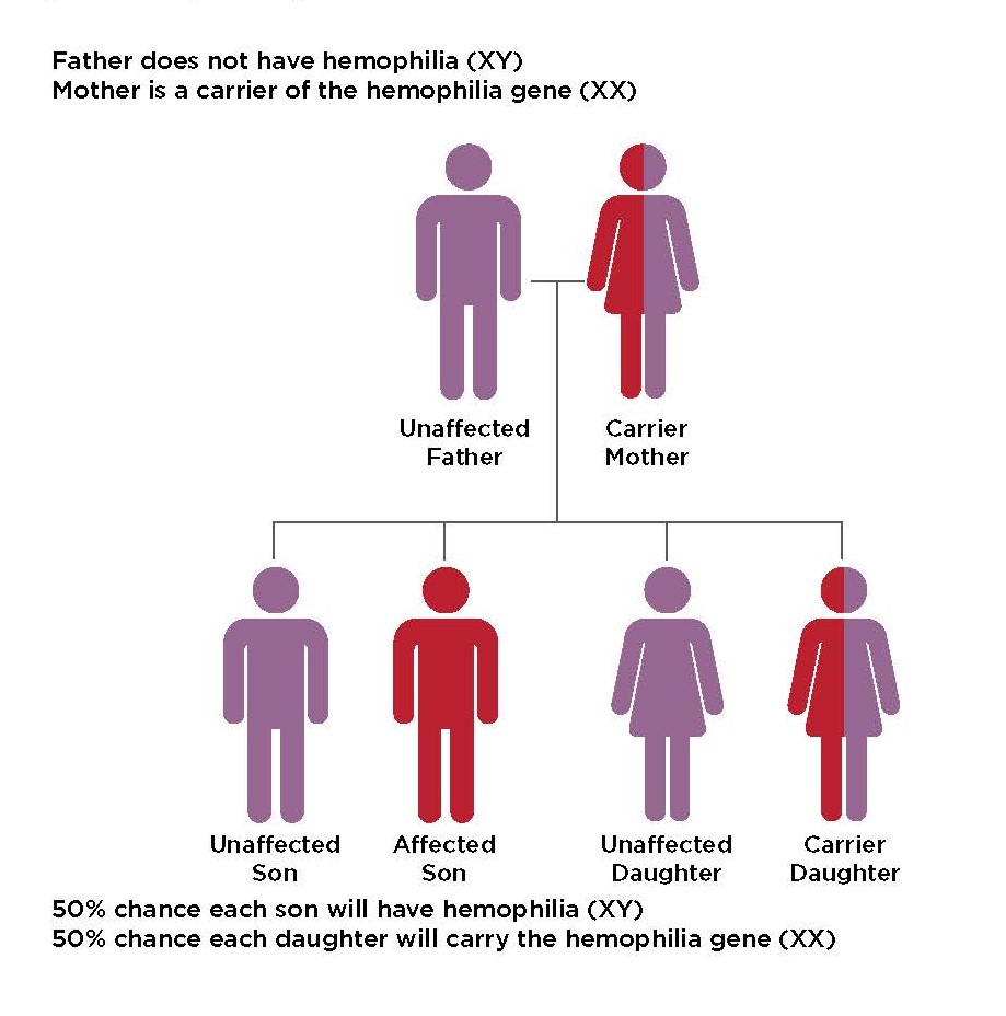 Inherited Bleeding Disorders and Genetic Factors: Insights | Steps For Living